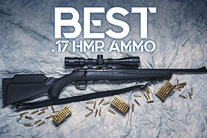 Why you should own a .17 HMR - Long Range Dogs